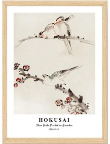 Plakát v rámu 35x45 cm Hokusai – Wallity