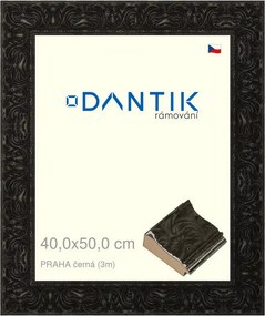 DANTIK rámeček 40x50 | PRAHA černá (Plexi Čiré)
