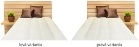 Ahorn Salina jednolůžková postel Dekor: Dub bílý, Rozměr: 100 x 200 cm, Noční stolek: Jednozásuvka pravá