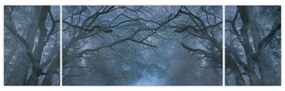 Obraz lesa v mlze (170x50 cm)