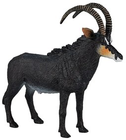Mojo Antilopa vraná