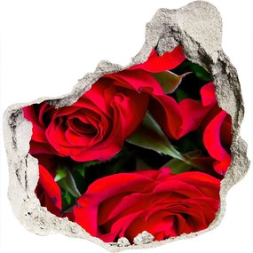 Wallmuralia Samolepící díra nálepka Červené růže 75x75 cm