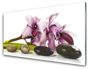 akrylový obraz Květ Kameny Rostlina 140x70 cm