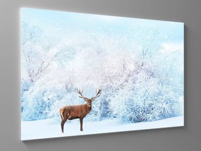 Liox Obraz Jelen v zimní krajině Rozměr: 90 x 60 cm