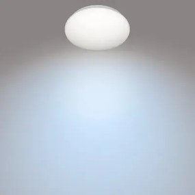 Philips CL200 bílé / LED stropní svítidlo / 17W / 4000K / O32 cm