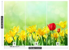 Fototapeta Žluté tulipány 104x70