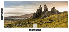 Fototapeta old man Storr 104x70