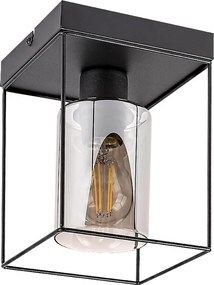 Rabalux Černé stropní svítidlo Chadwick pro žárovku E27 71031