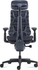 LiberNovo Omni Dynamic Ergonomic Chair (Midnight Black) - 48cm