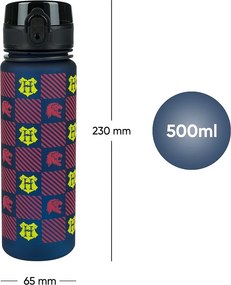 BAAGL - tritanová láhev na pití Harry Potter Nebelvír, 500 ml