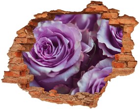 Wallmuralia Fototapeta nálepka na zeď Fialové růže 90x70 cm