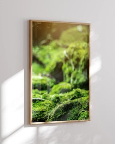 Oboustranný plakát Divoké Borovice / Mech | 30 x 42 cm | DP351317