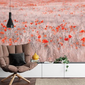 Fototapeta Poppy Field Strukturální vinyl 416x290