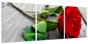 Obraz červené růže (90x30 cm)