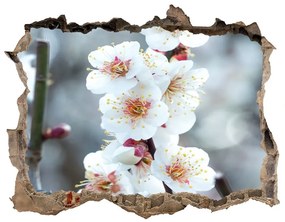 Wallmuralia Samolepící nálepka fototapeta Květy višně 95x64 cm