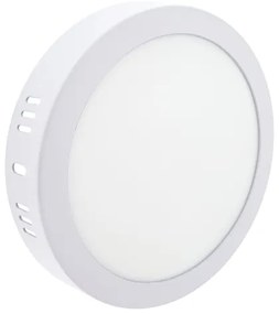 LED Stropní svítidlo LED/12W/230V 4200K pr. 16 cm bílá