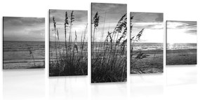 5-dílný obraz západ slunce na pláži v černobílém provedení Varianta: 100x50