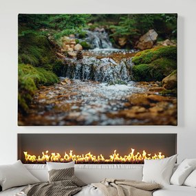 Obraz na plátně - Malý vodopád s šiškou a mechem FeelHappy.cz Velikost obrazu: 60 x 40 cm