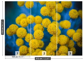 Fototapeta Žluté květy 104x70