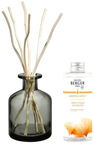 Maison Berger Paris Difuzér s vrbovými tyčinkami + náplň Aroma Energy – Čerstvé tonikum 180 ml 7717
