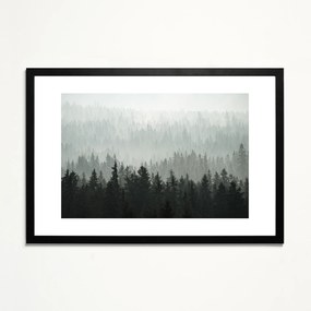 Kristýna Mládková | Šumavské lesy Rám: Černý, Velikost: 20 x 30 cm