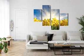 Vícedílný obraz 3D Pole Narcisů Nedostatek Nedostatek Plátno Canvas 240x150