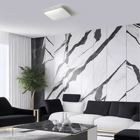 Stropní LED svítidlo Dabar, 1x LED 17w, 4000k, g