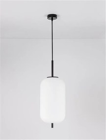 Nova Luce Závěsné svítidlo LATO černý kov a opálové sklo E27 1x12W