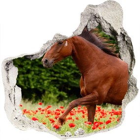 Wallmuralia Díra 3D fototapeta nálepka Kůň na poli máků 75x75 cm