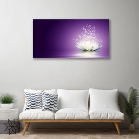 Obraz na plátně Květ Lotosu 100x50 cm