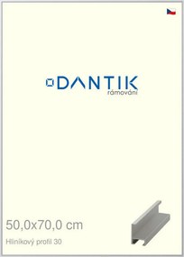 DANTIK rámeček 50x70 | ALU profil 6030 Stříbrná matná (Plexi Čiré)