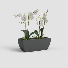 Truhlík z recyklovaného plastu 30 cm Siena – Artevasi