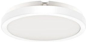 Stropní LED svítidlo Vera, 1x LED 24w, 4000k, w