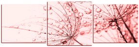 Obraz na plátně - Pampeliška s kapkami vody - panoráma 5203KD (120x40 cm)