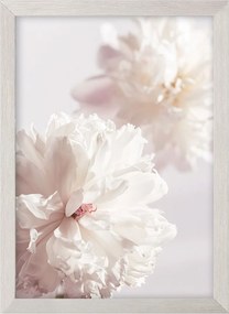 Obraz Peony II 21x30cm silver