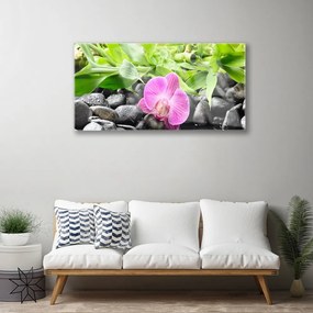 Obraz na skle Květiny Orchidej Kameny Zen 125x50 cm