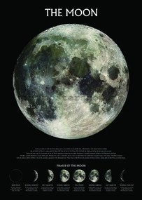 Plakát - The Moon