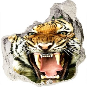 Wallmuralia Díra 3D fototapeta nálepka Tygr 75x75 cm
