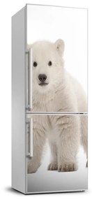 Wallmuralia Foto tapeta na ledničku Lední medvěd XL 60x180 cm