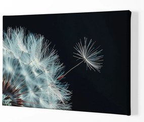 Obraz na plátně - Pampeliška letí dál FeelHappy.cz Velikost obrazu: 120 x 80 cm