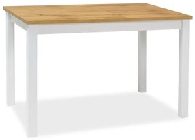 Jídelní stůl ADAM | 100 x 60 cm Barva: dub wotan / bílý mat