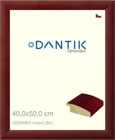 DANTIK rámeček 40x50 | LEDVINKA vínová (Plexi Čiré)