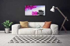 Obraz na plátně Květiny Kameny Rostlina 140x70 cm