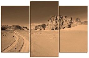 Obraz na plátně - Silnice v poušti 1129FC (90x60 cm)