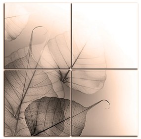 Obraz na plátně - Květinové listy - čtverec 3149FE (100x100 cm)