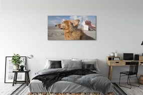 akrylový obraz Hnědý pes beach 125x50 cm