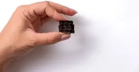 EscapeWelt Dřevěné puzzle Tukan / 500 dílků / Obtížnost: těžké / od 8