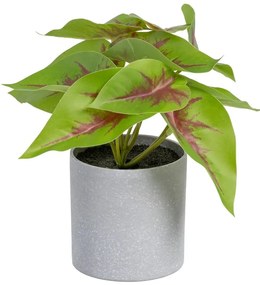 Umělá rostlina (výška 20 cm) Syngonium – Ixia