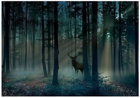 Fototapeta - Mystical Forest - Third Variant