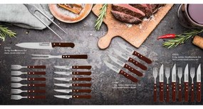 CS SOLINGEN Nůž steakový sada 4 ks JUMBO BRUHL CS-070182